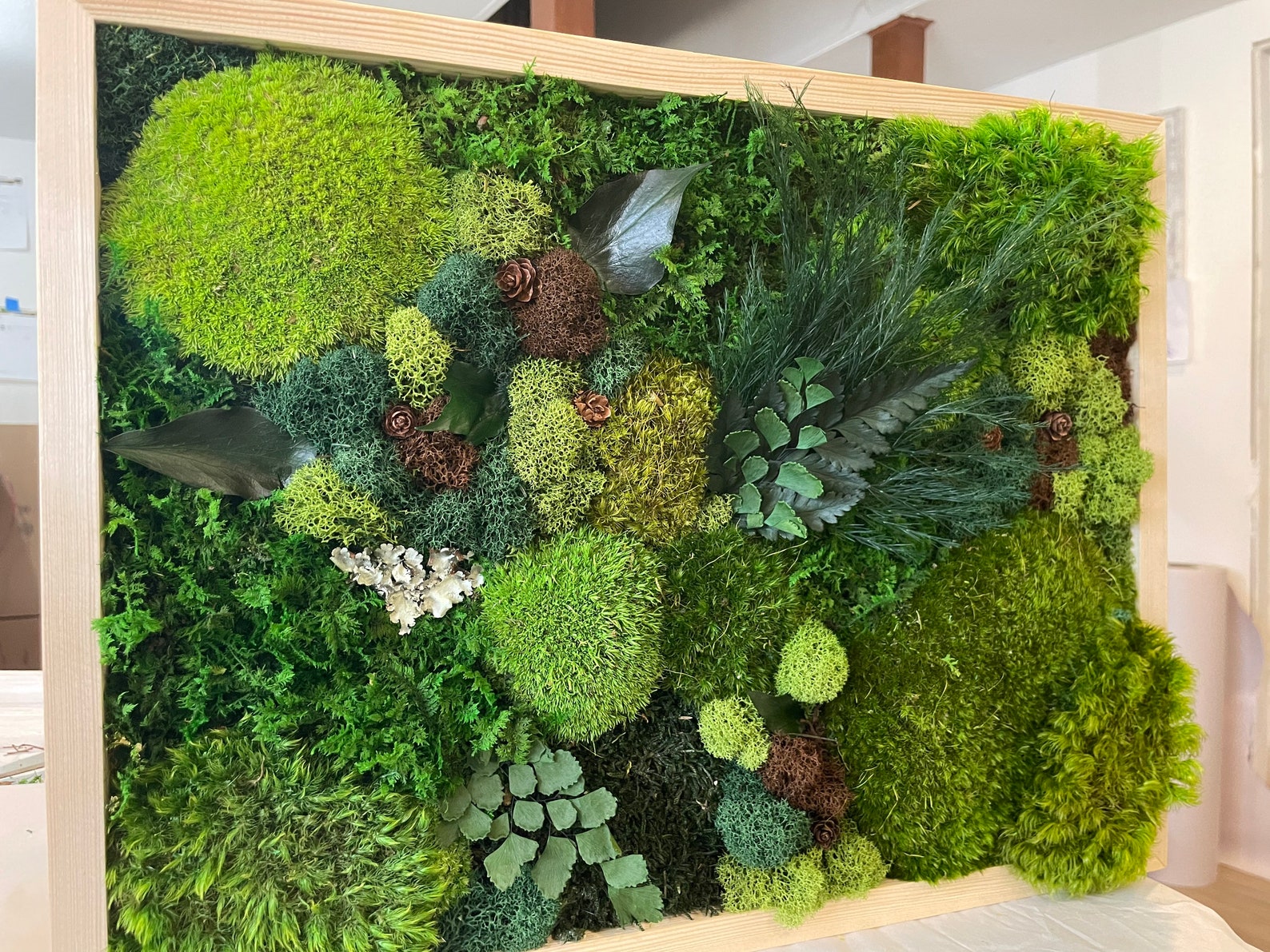 12x16 Moss Art Work Moss Art Preserved Moss Art. Home - Etsy