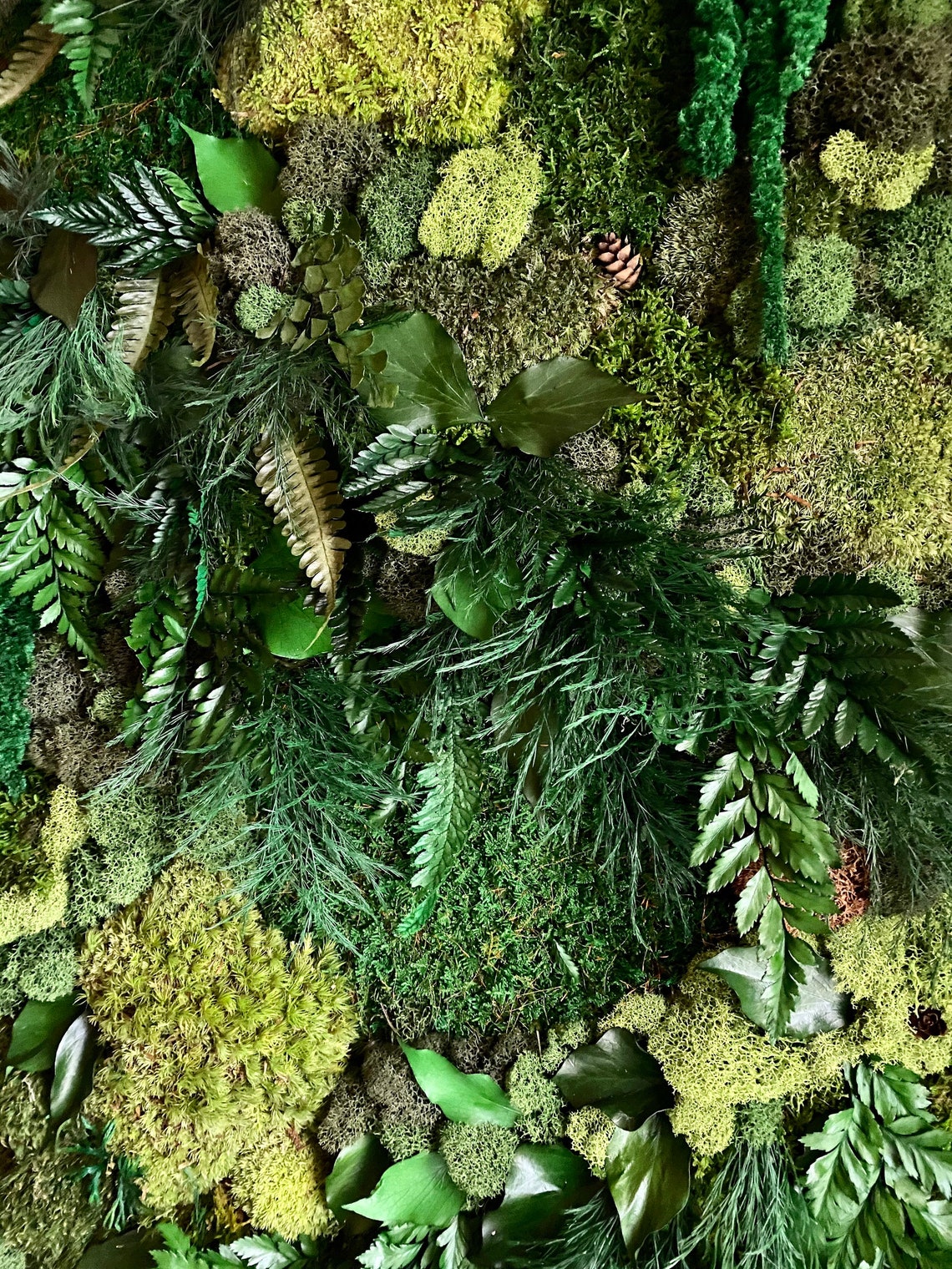 Lavish Moss Wall Art Moss Art Work Moss Art Preserved Moss | Etsy