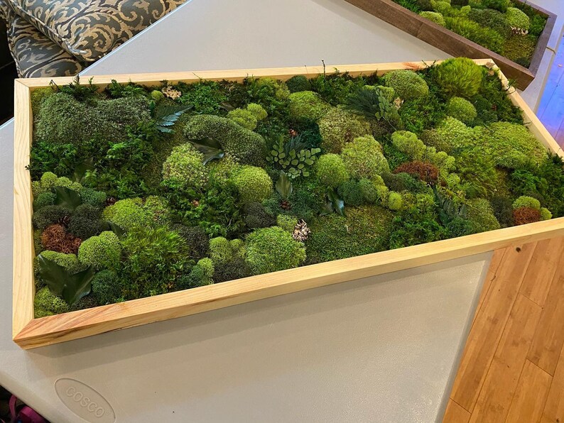 Large Art. Lush. Moss Wall Art Moss Art Work Moss Art - Etsy