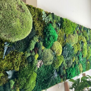 Large Art. Lush. Moss Wall Art Moss Art Work Moss Art - Etsy