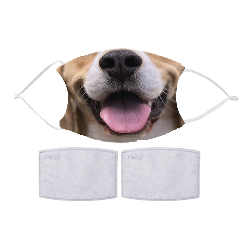 Choose Your FUNNY Masks With 2 Filters Optional. Nose Wire - Etsy