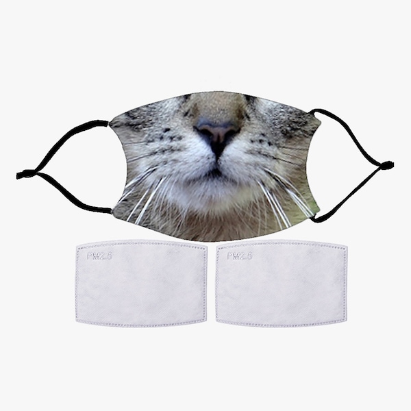 Cat Face Mask - Etsy