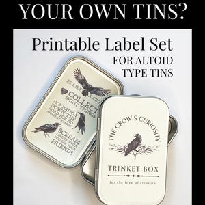 The Crow's Curiosity Trinket Box - Ready to Fill With Shiny Treasures ...