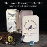 Crow Box Vending Machine Kit * Crows Bring You MONEY * Study Crows ...