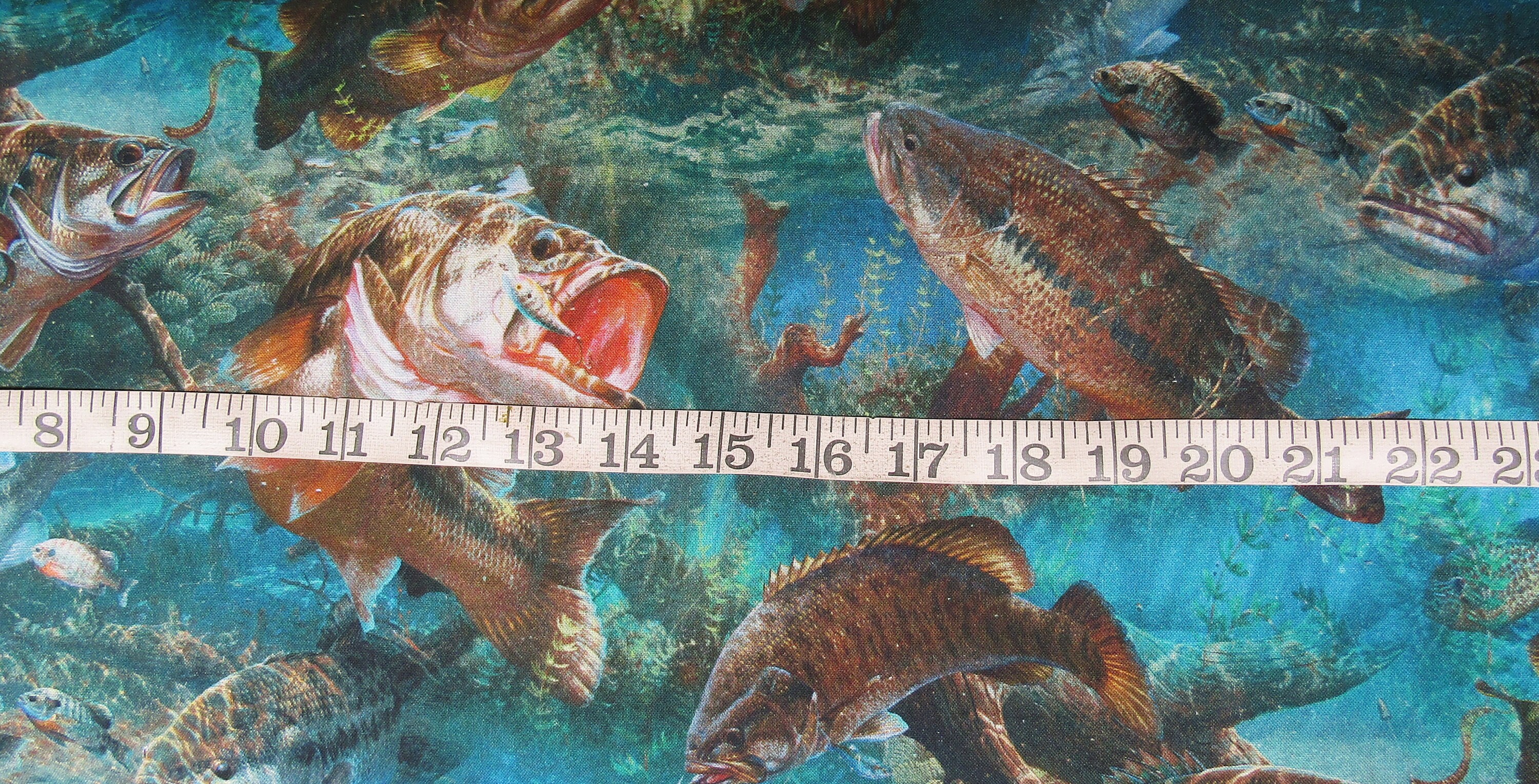 Stillwater Fish Scenic Fabric 100% Cotton Fabric Fabric by - Etsy