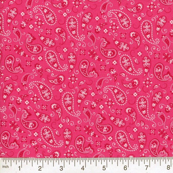 Pink Paisley Fabric - Etsy