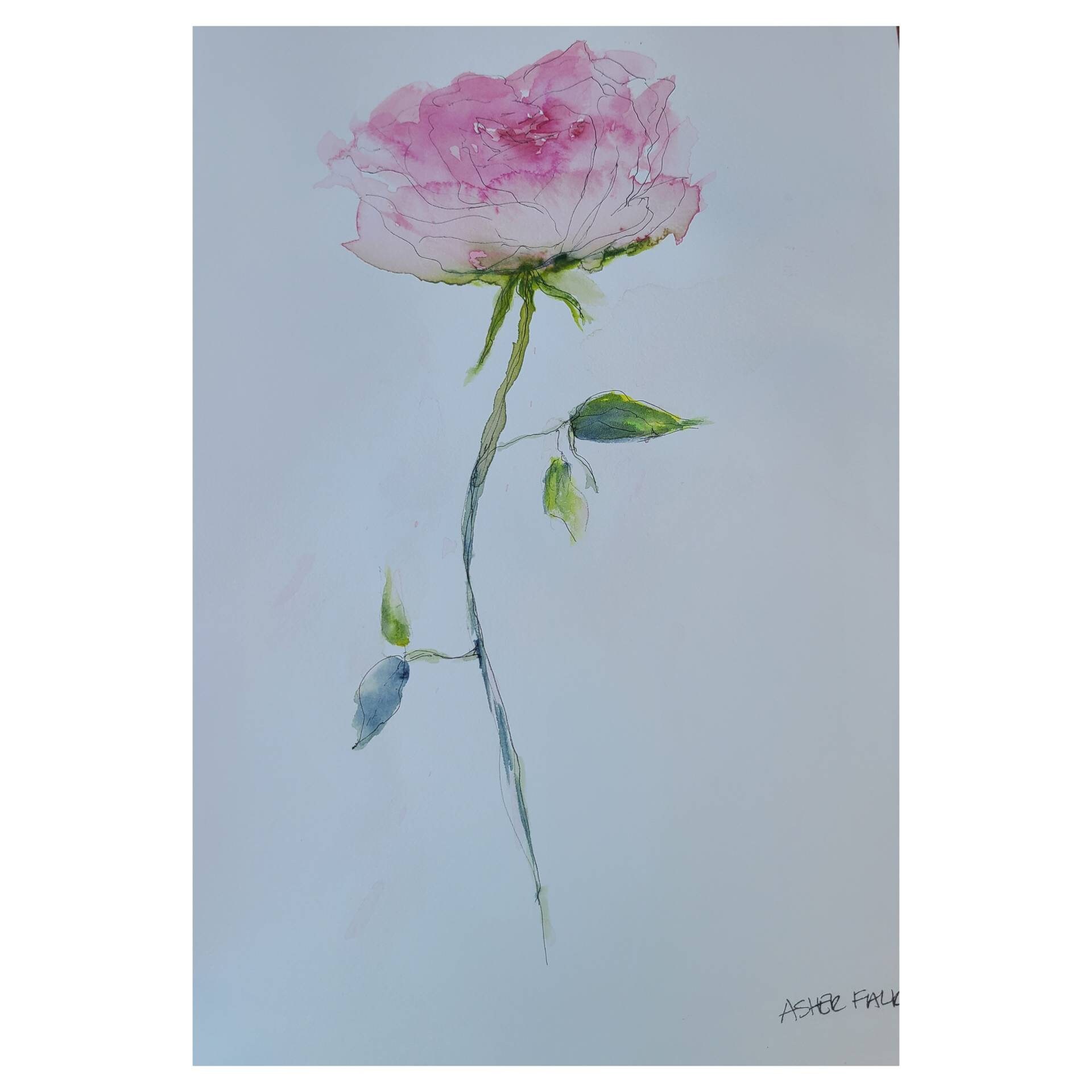 Simple Pink Rose Painting