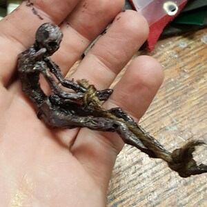 Mummified Faerie Specimen ( Fairy Skeleton Dead Fairy ) Curio Cabinet ...