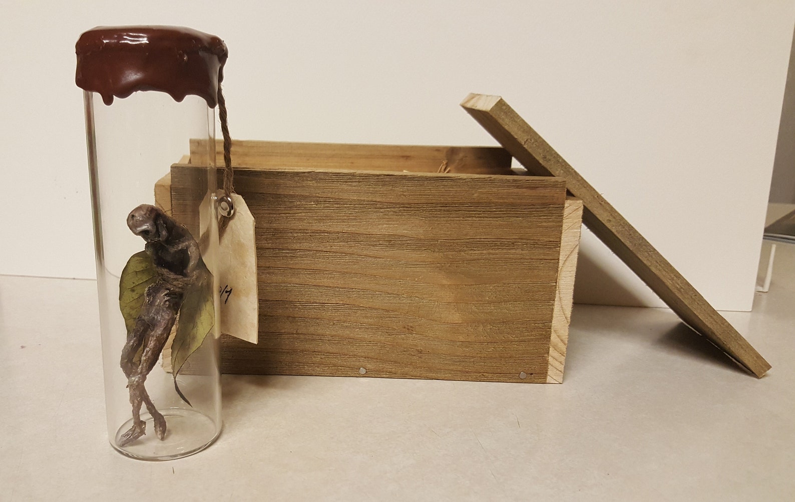 Mummified Faerie Specimen ( Fairy Skeleton Dead Fairy ) Curio Cabinet ...