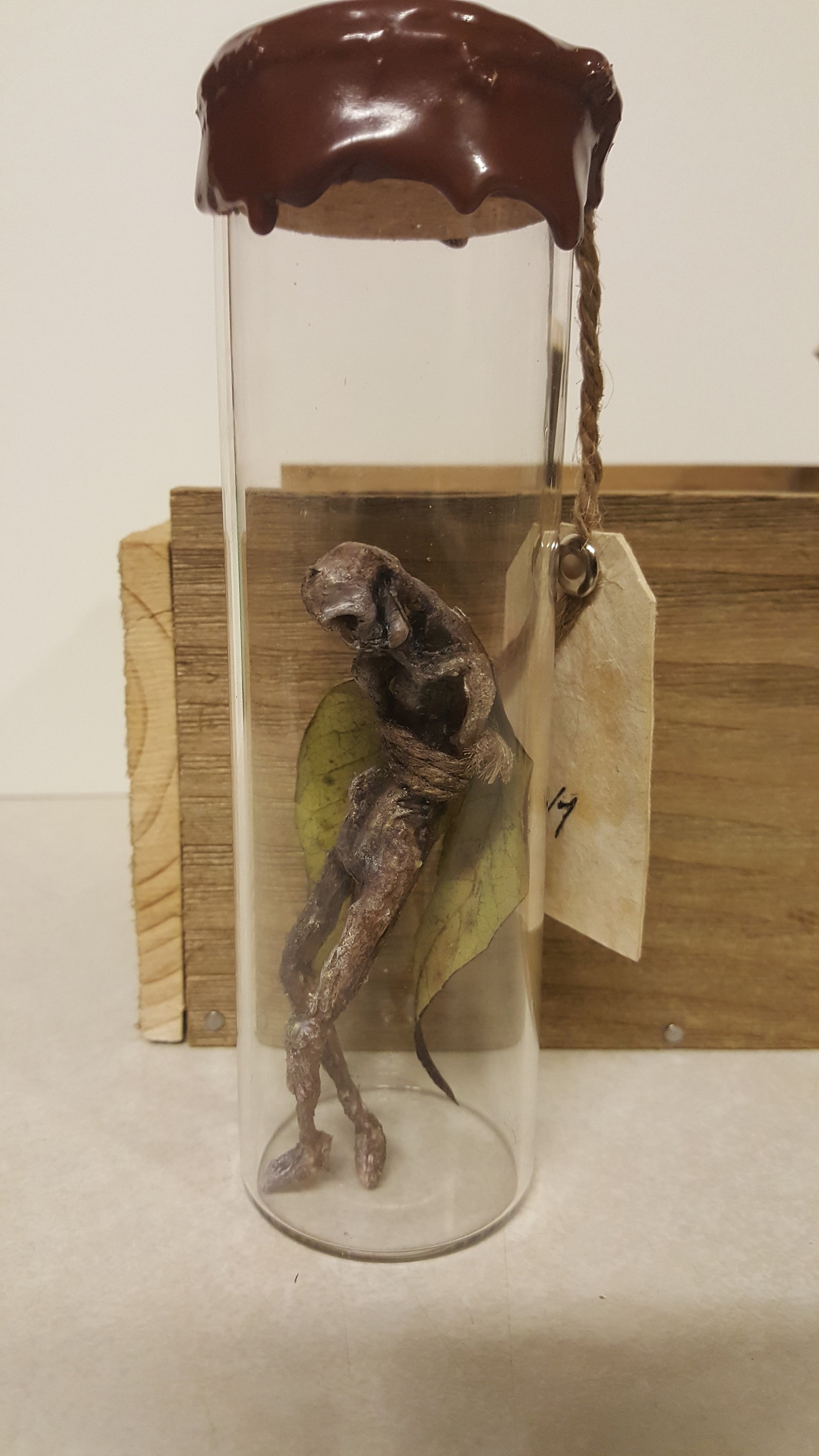 Mummified Faerie Specimen ( Fairy Skeleton Dead Fairy ) Curio Cabinet ...
