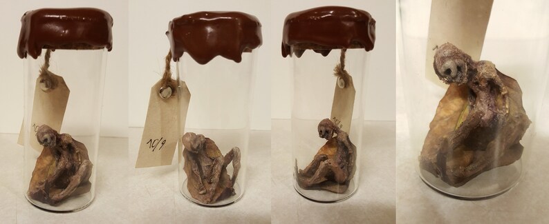 Mummified Faerie Specimen ( Fairy Skeleton Dead Fairy ) Curio Cabinet ...