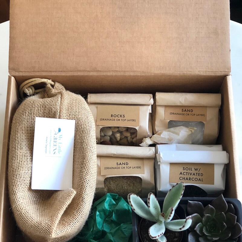 Succulent Kits - Etsy