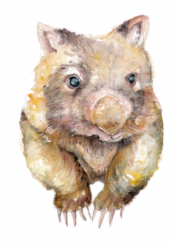 Wombat Art Print Limited Edition Giclee Print Watercolour - Etsy Australia