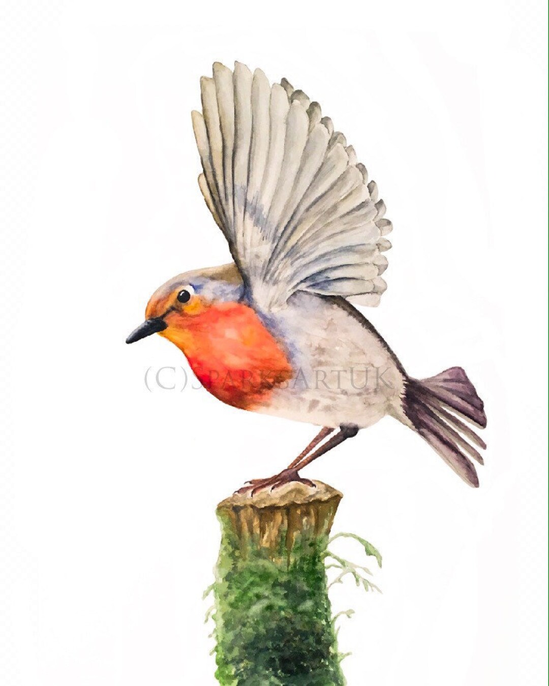 Robin Print of Original Watercolour Painting - Etsy