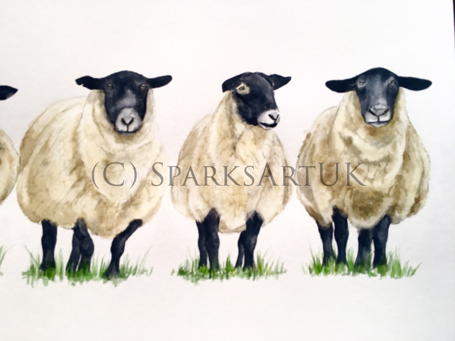 Flock of Sheep Fine Art Giclee Print of Original Watercolour - Etsy
