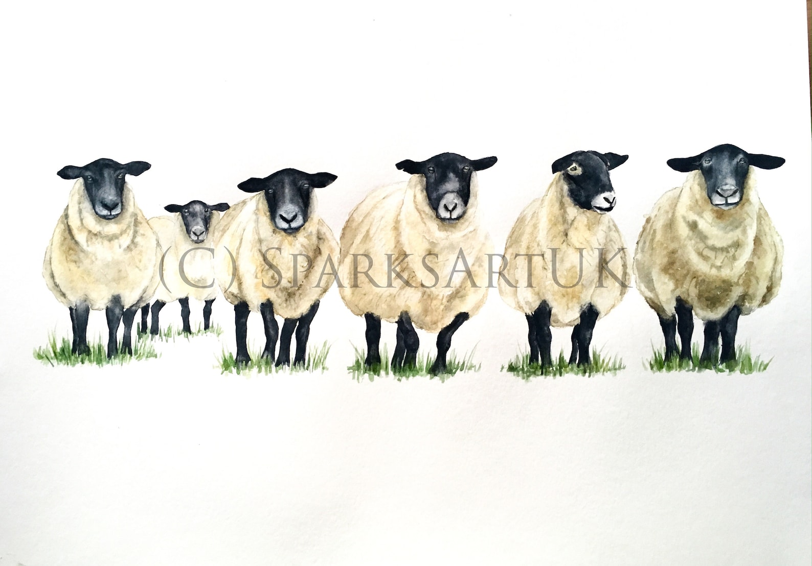 Flock of Sheep Fine Art Giclee Print of Original Watercolour - Etsy