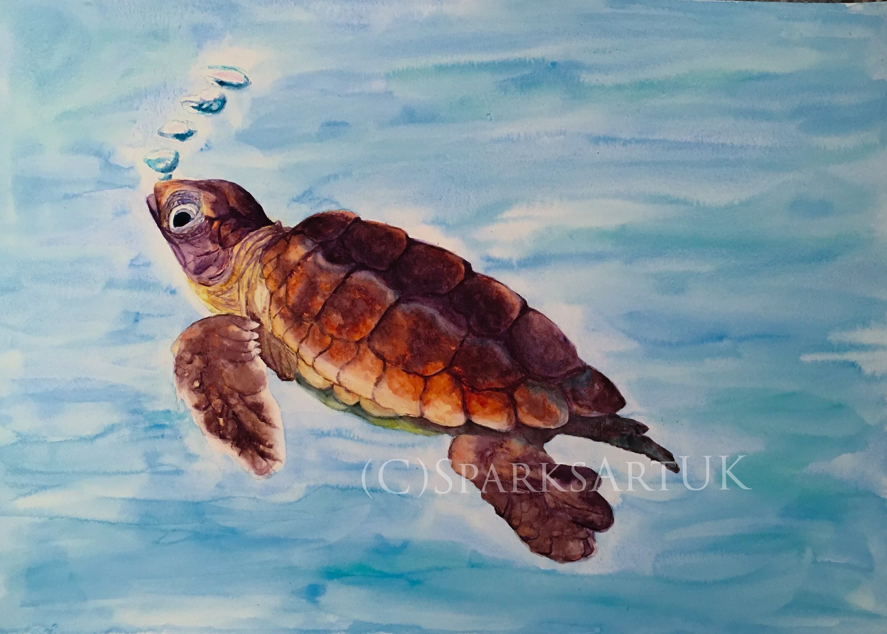 I'm Forever Blowing Bubbles baby Sea Turtle Giclee - Etsy