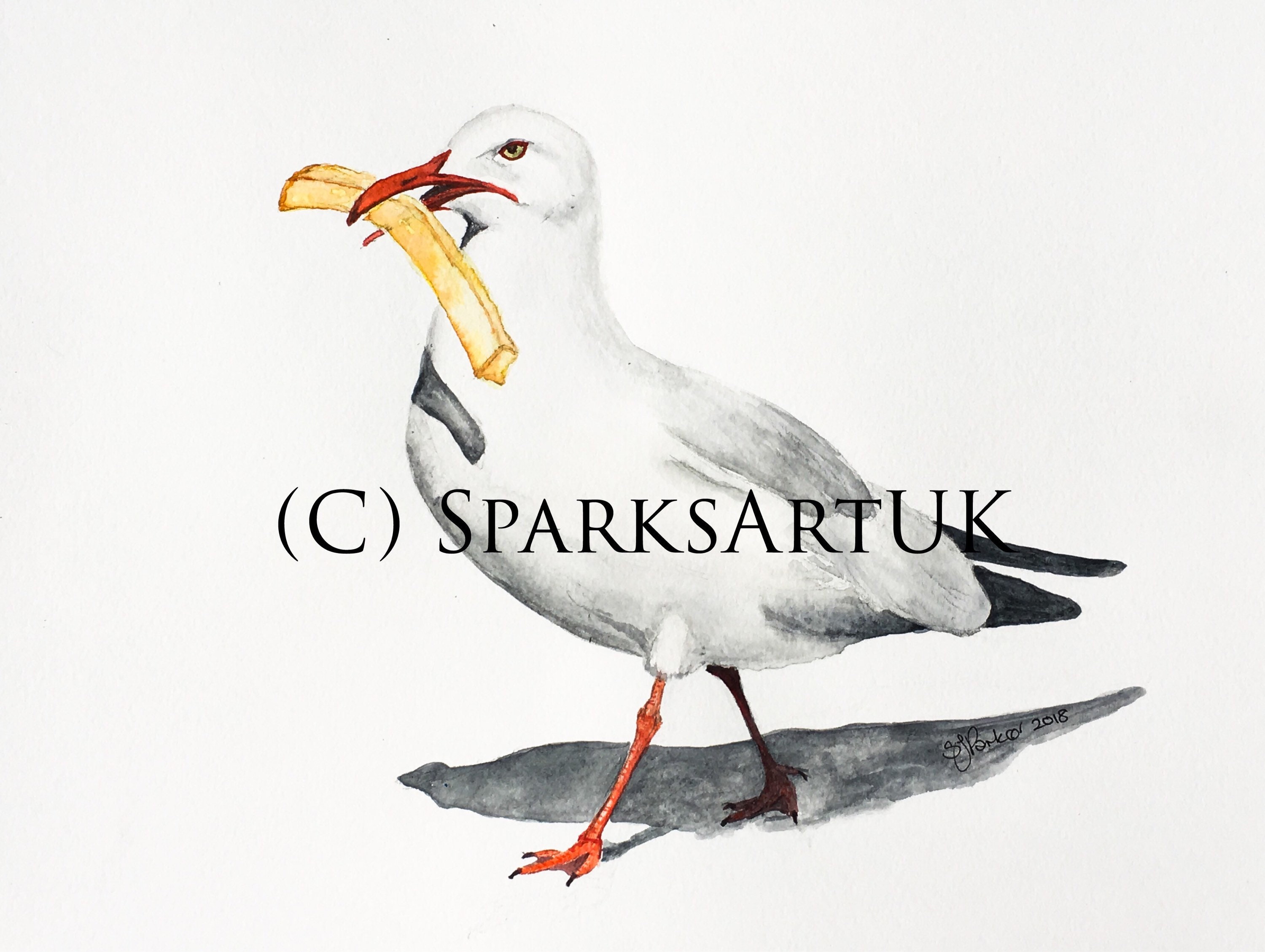 Mine! (seagull With Chip) - Giclee Print of Original Watercolour ...