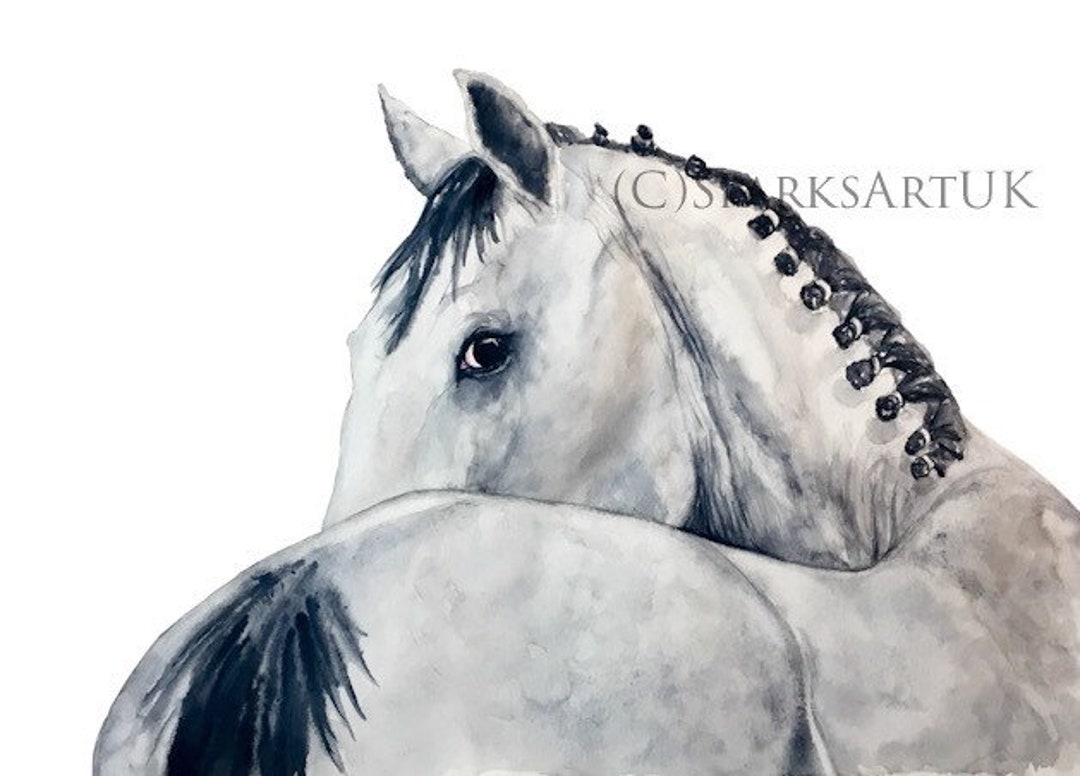Dappled Mare Fine Art Print of Original Watercolour Painting - Etsy
