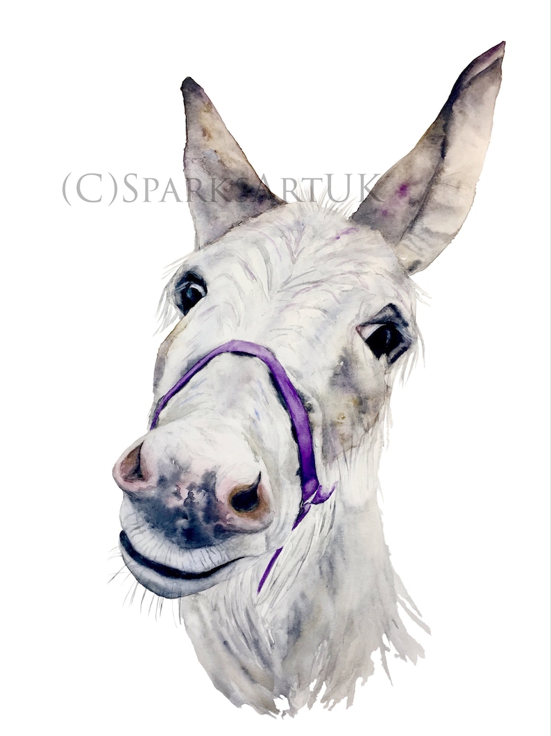 Wonkey Donkey - Fine Art Giclee Print of Original Watercolour Painting ...