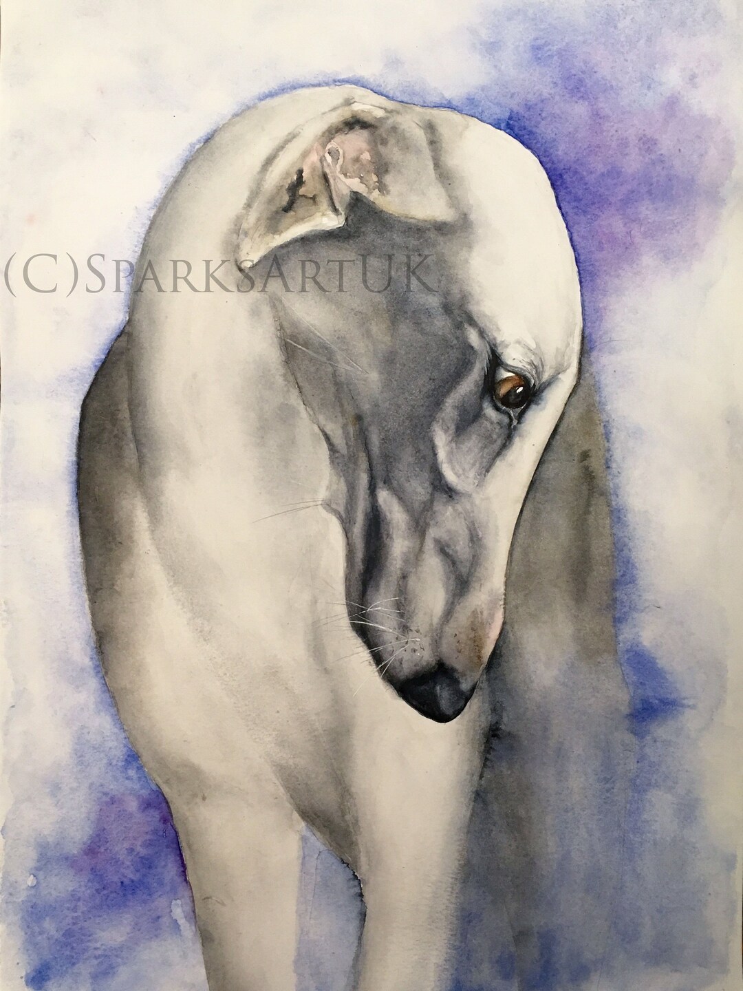 Greyhound - Fine Art Print of Original Watercolour Painting - Etsy