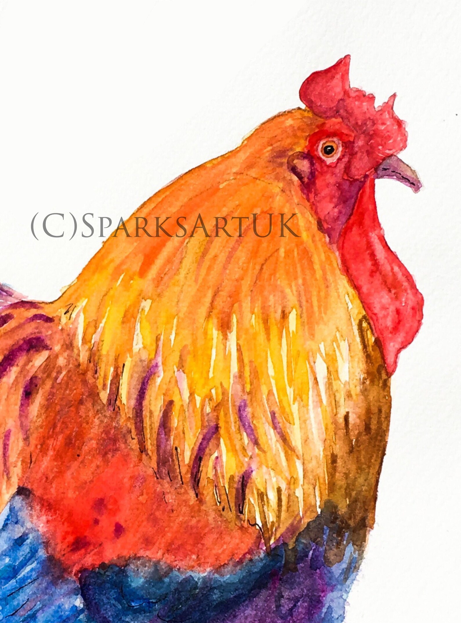 Cockerel Comb Crest - Giclee Print of Original Watercolour Painting - Etsy