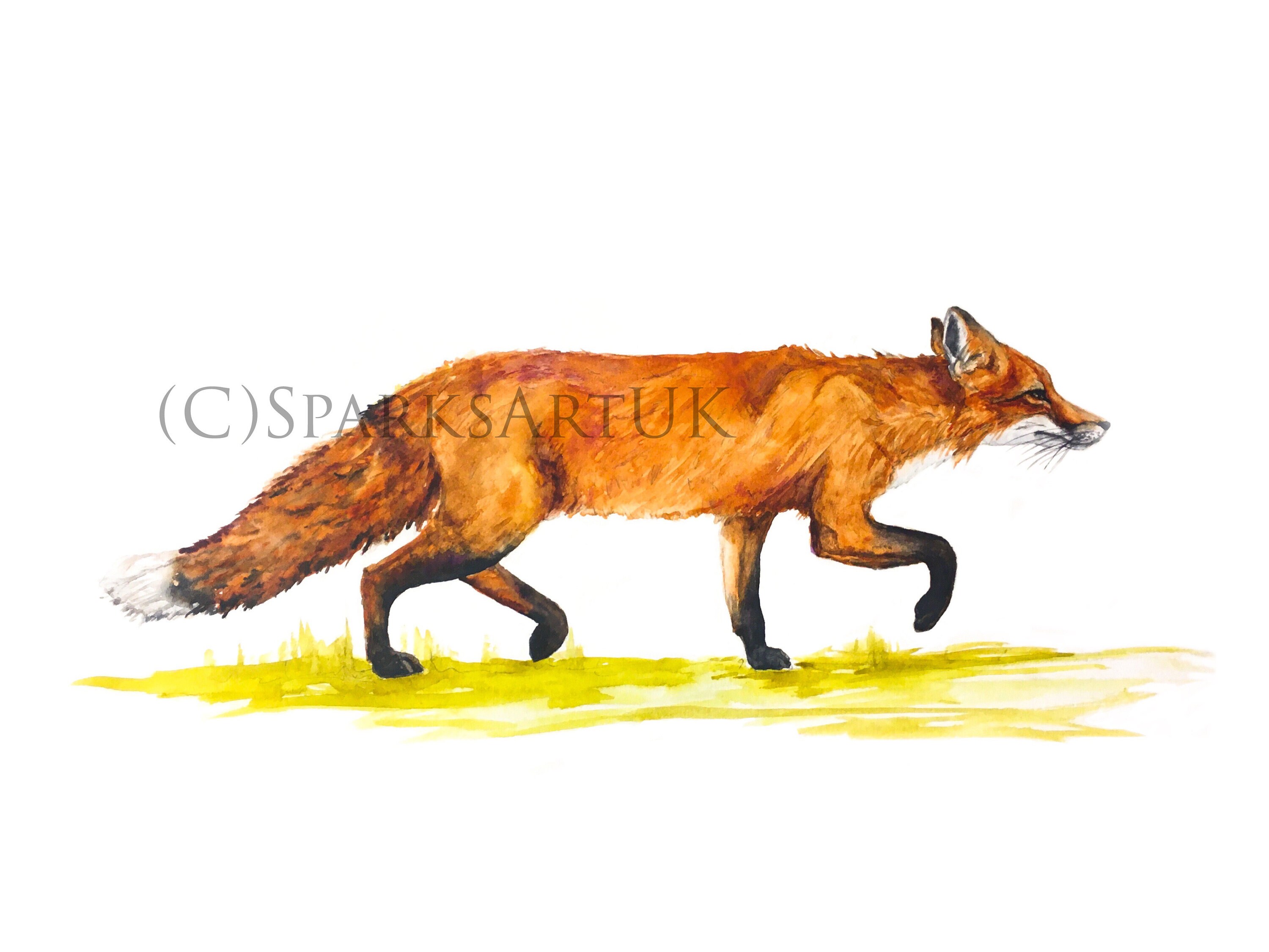 Fearless Fox Stalking - Beautiful Fine Art Giclee Print of Original ...