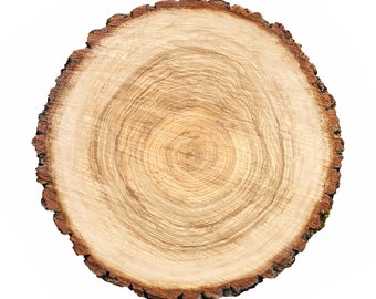 Log slice | Etsy