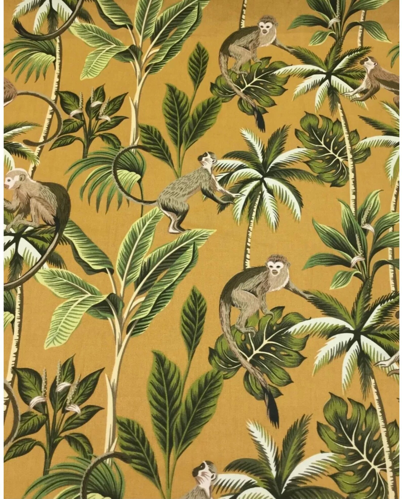 Tropical Monkey Cushion, Safari Cushion Cover, Duck Feather Pillow, 100 ...