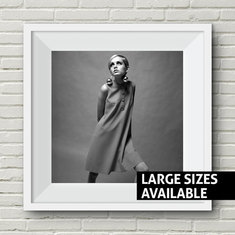 Twiggy Poster - Etsy