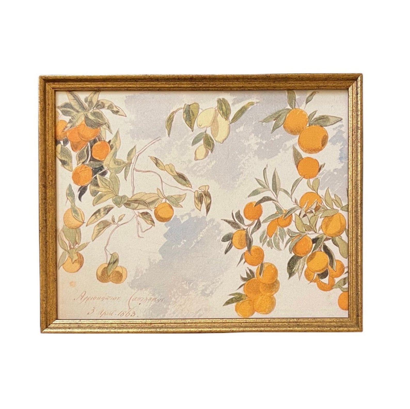 Vintage Framed Canvas Art // Framed Vintage Print // Vintage - Etsy