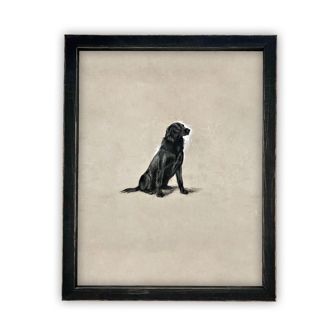 Vintage Black Labrador Painting: Framed Canvas Print - Etsy