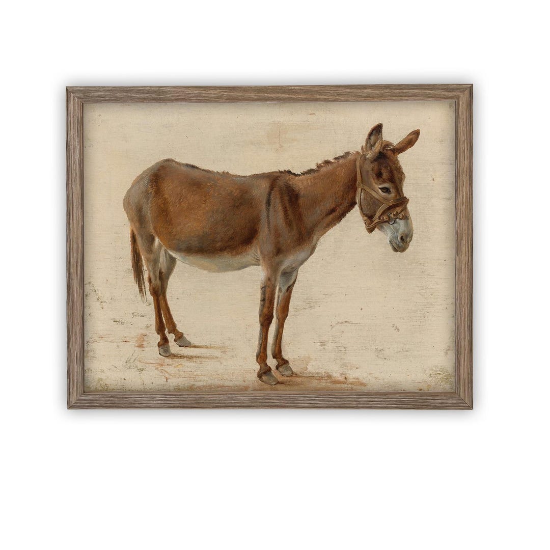 Vintage Donkey Canvas Print: Farmhouse Equestrian Art - Etsy