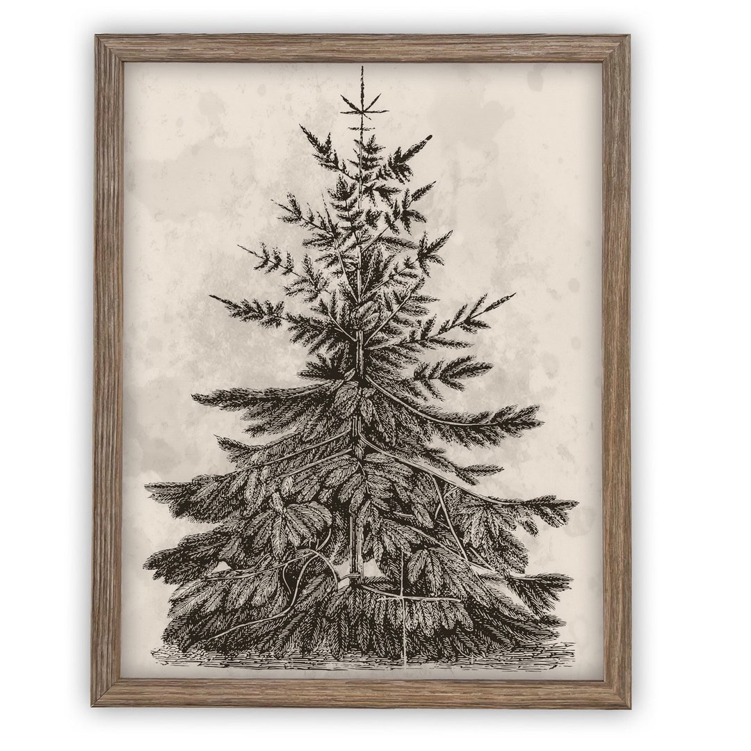 Framed Vintage Christmas Tree Sketch Print: Farmhouse Canvas Art - Etsy