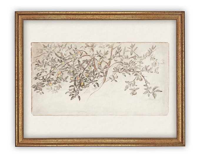 Gold Framed Botanical Prints, Set of 4, Vintage Original Wild Flower ...