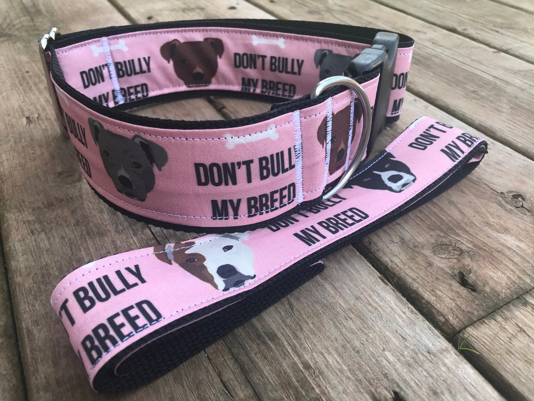 Pink Don’t Bully My Breed Dog Collar, Maritime, PEI, Pitbull, Pittie ...