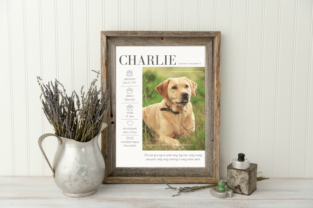 Custom Dog Stats With Photo | Pet Lover Gift for Valentines Day ...