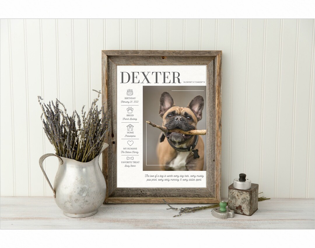 Custom Dog Stats With Photo | Pet Lover Gift for Valentines Day ...
