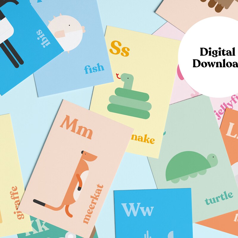 Animal Flash Cards - Etsy