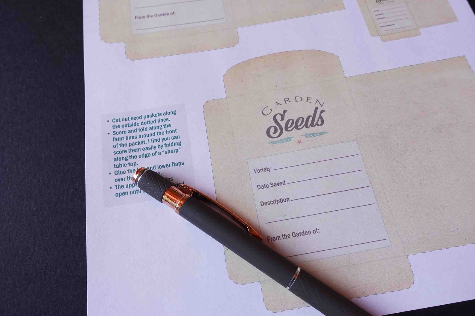 CUTE Seed Packet Digital Download Printable Design -- Vintage Kraft ...