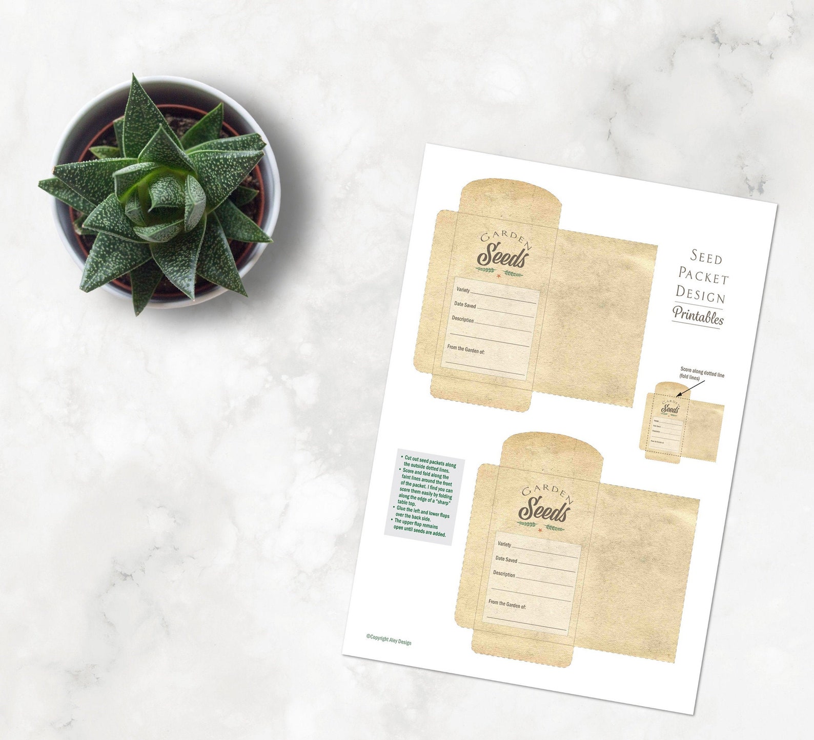 CUTE Seed Packet Digital Download Printable Design -- Vintage Kraft ...