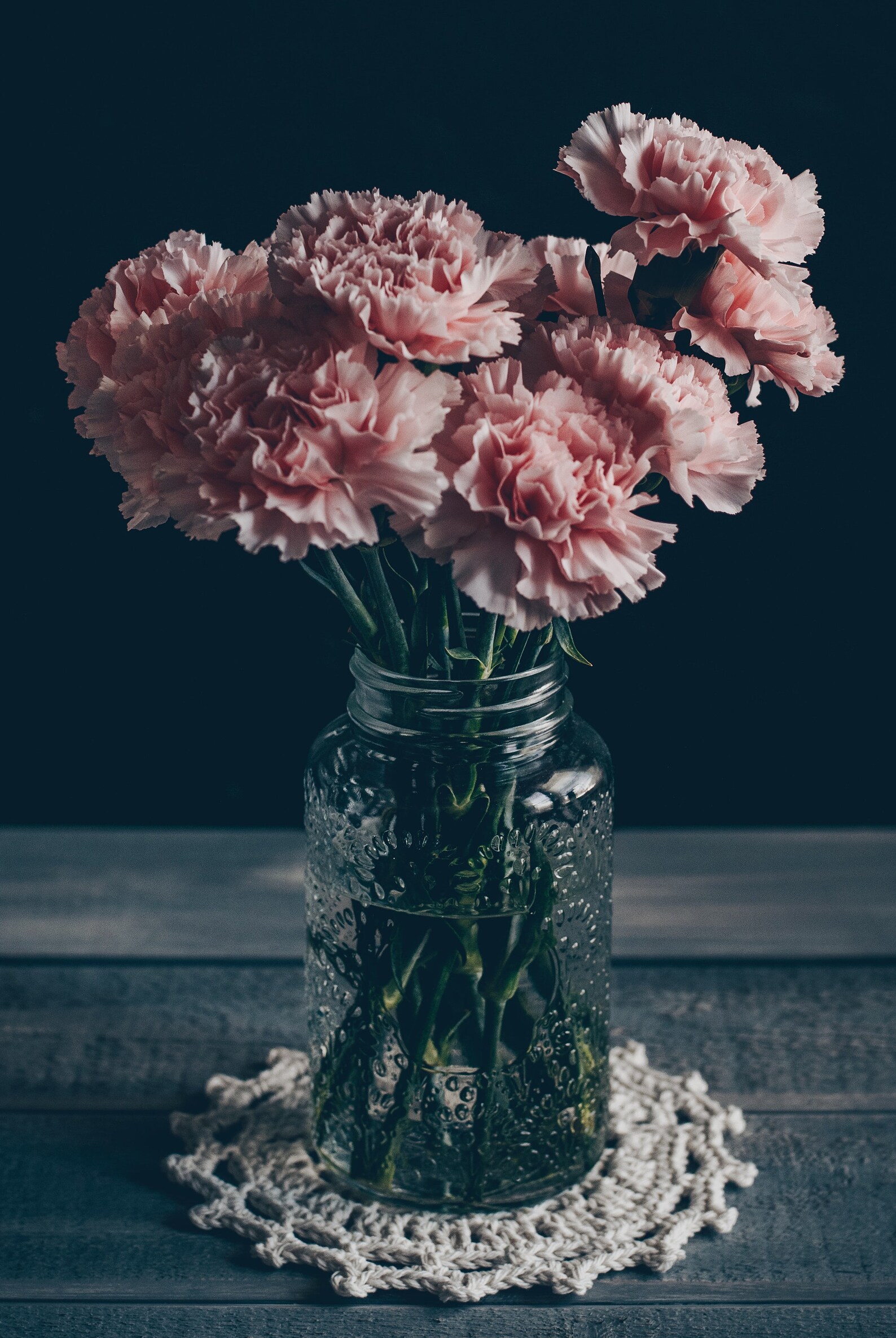 New Charming Pink Carnation SEEDS Dianthus Chabaud La France - Etsy