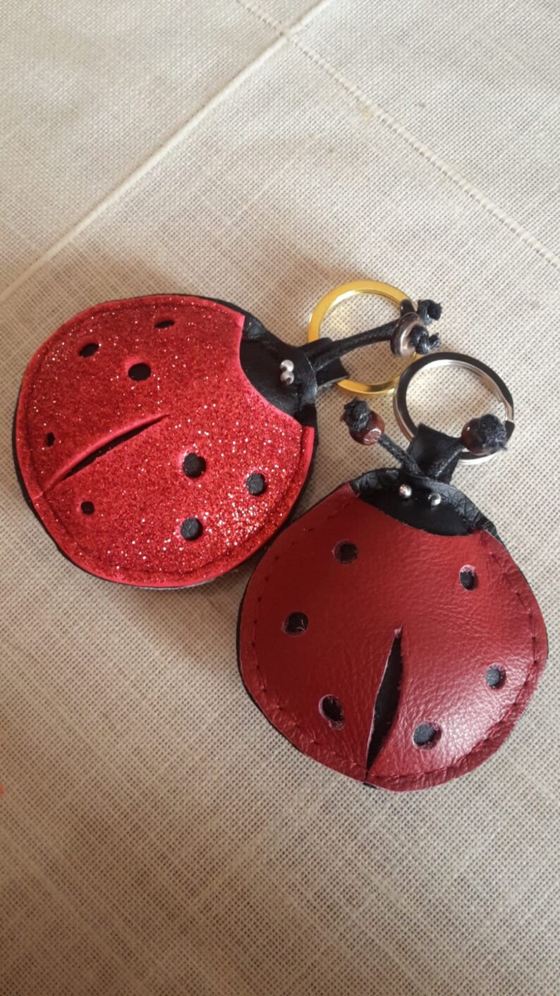 Ladybug Gift Idea, Personalized Red Ladybug Keychain, Ladybug Keychain ...