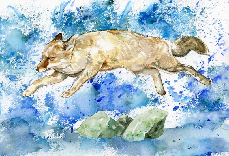Fox Jumping Water - Etsy