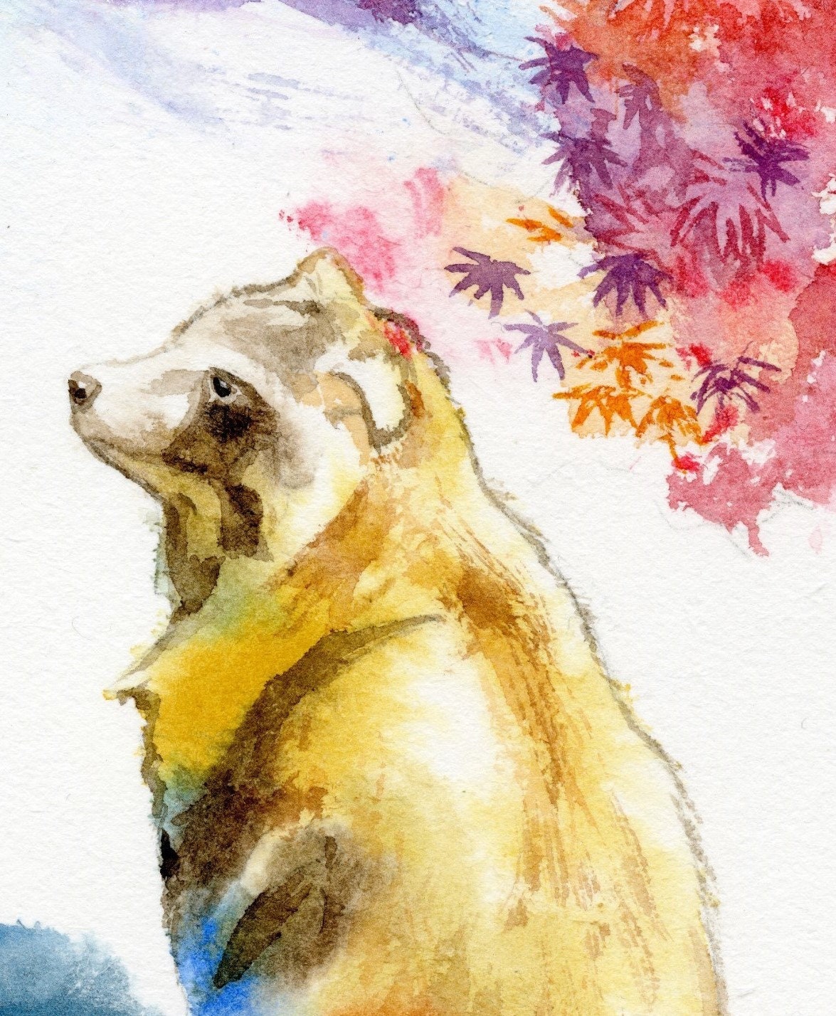 Raccoon Dog Under Maple Tree - Etsy
