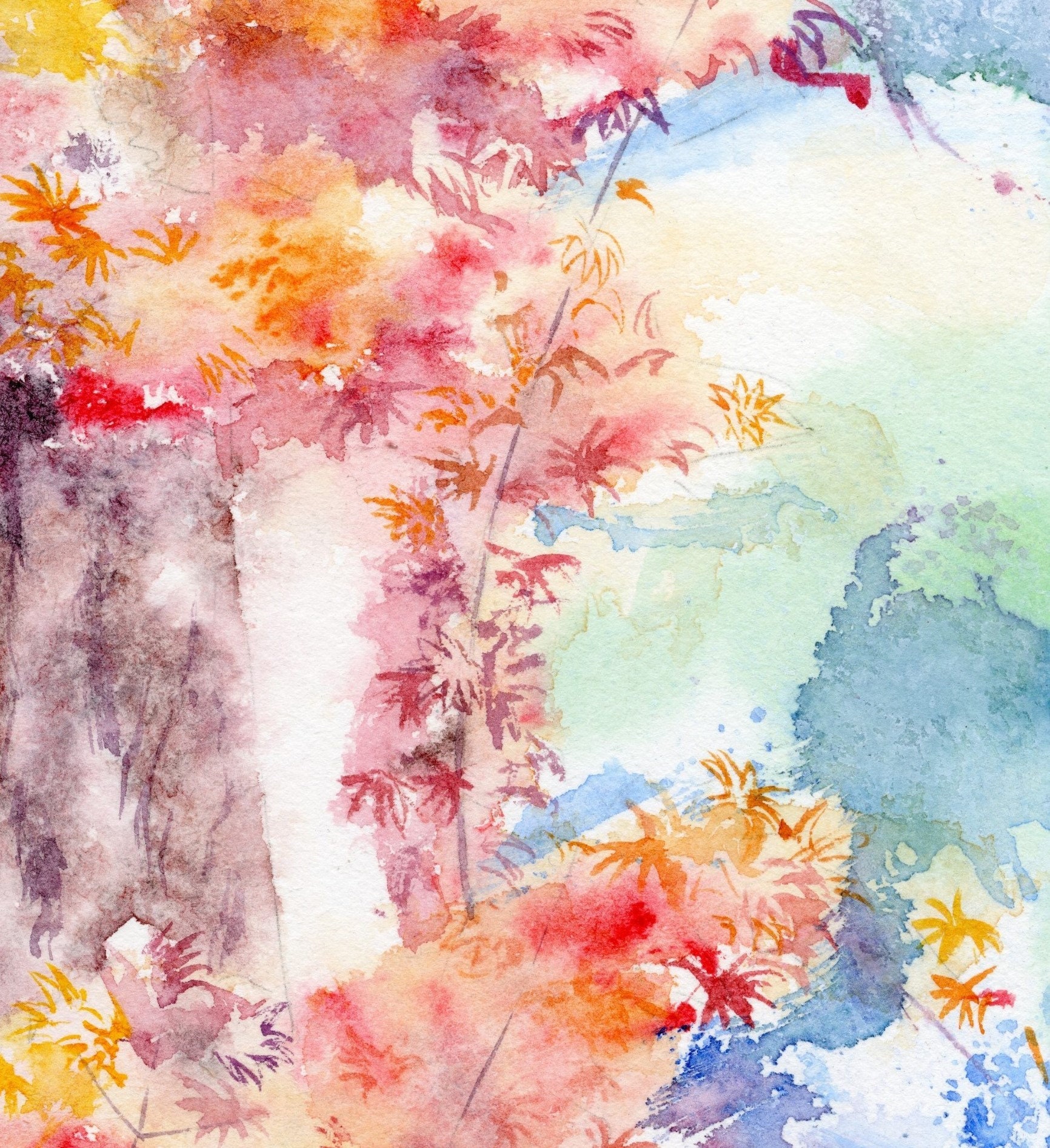 Raccoon Dog Under Maple Tree - Etsy