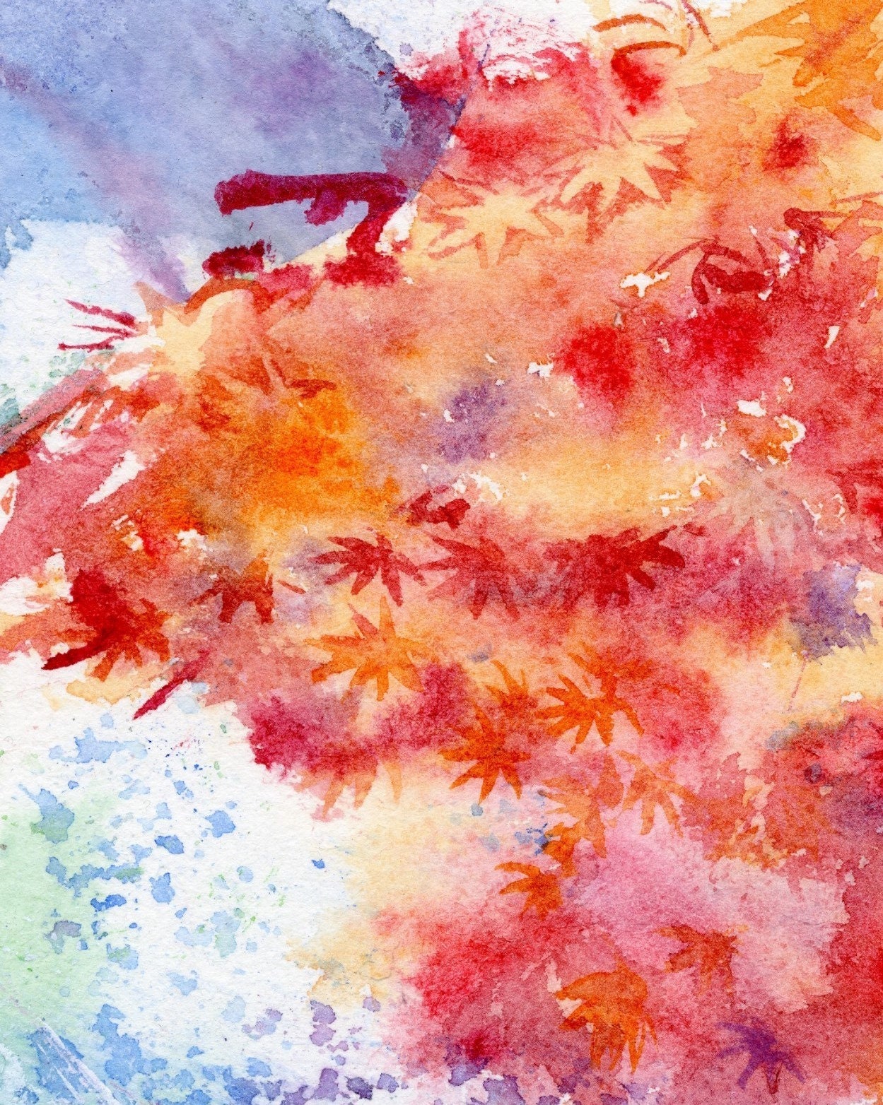 Raccoon Dog Under Maple Tree - Etsy