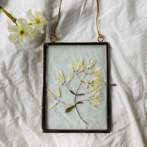 Fringe Wall Decor - Etsy