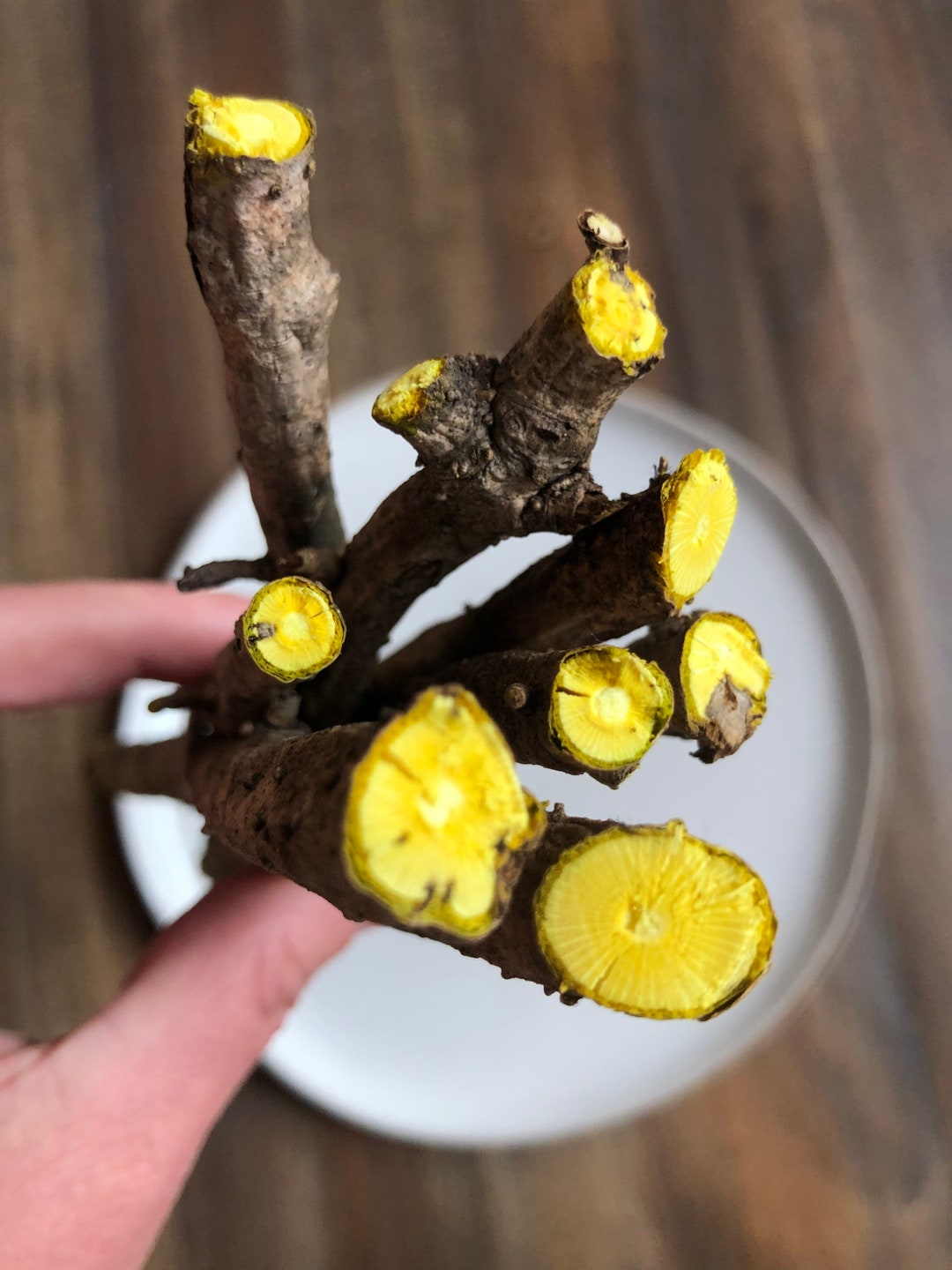 Yellowroot Stem Bundle, Dried, Xanthorhiza Simplicissima, Berberine - Etsy