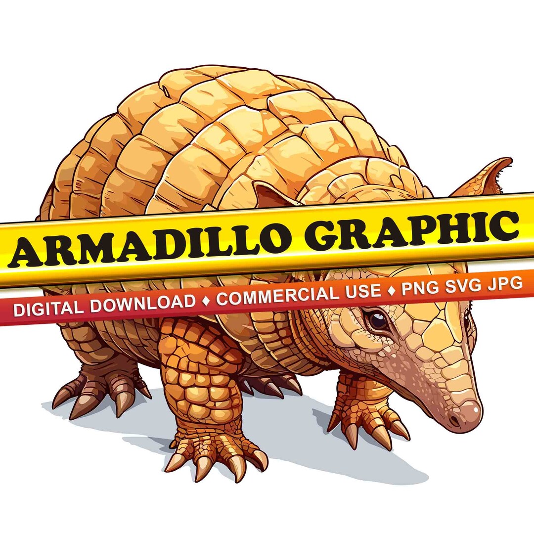 Armadillo Clipart Image PNG SVG JPG Commercial License Digital File ...